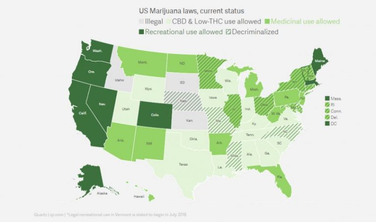 The Cannabis CBD Mania - AllinAllSpace