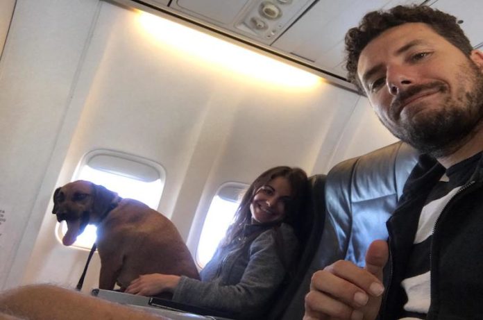 How to Travel Abroad With A Dog - A Step-by-Step Guide