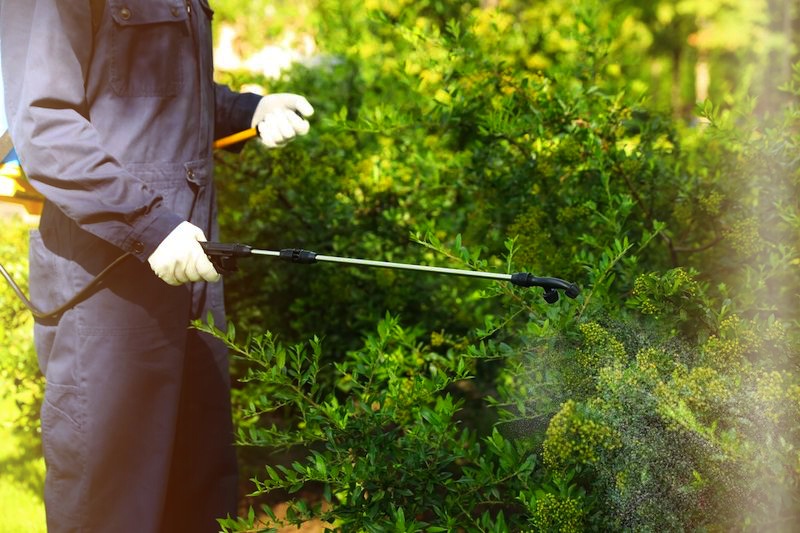 Signs You Need To Contact A Professional To Get Rid Of Pests ...